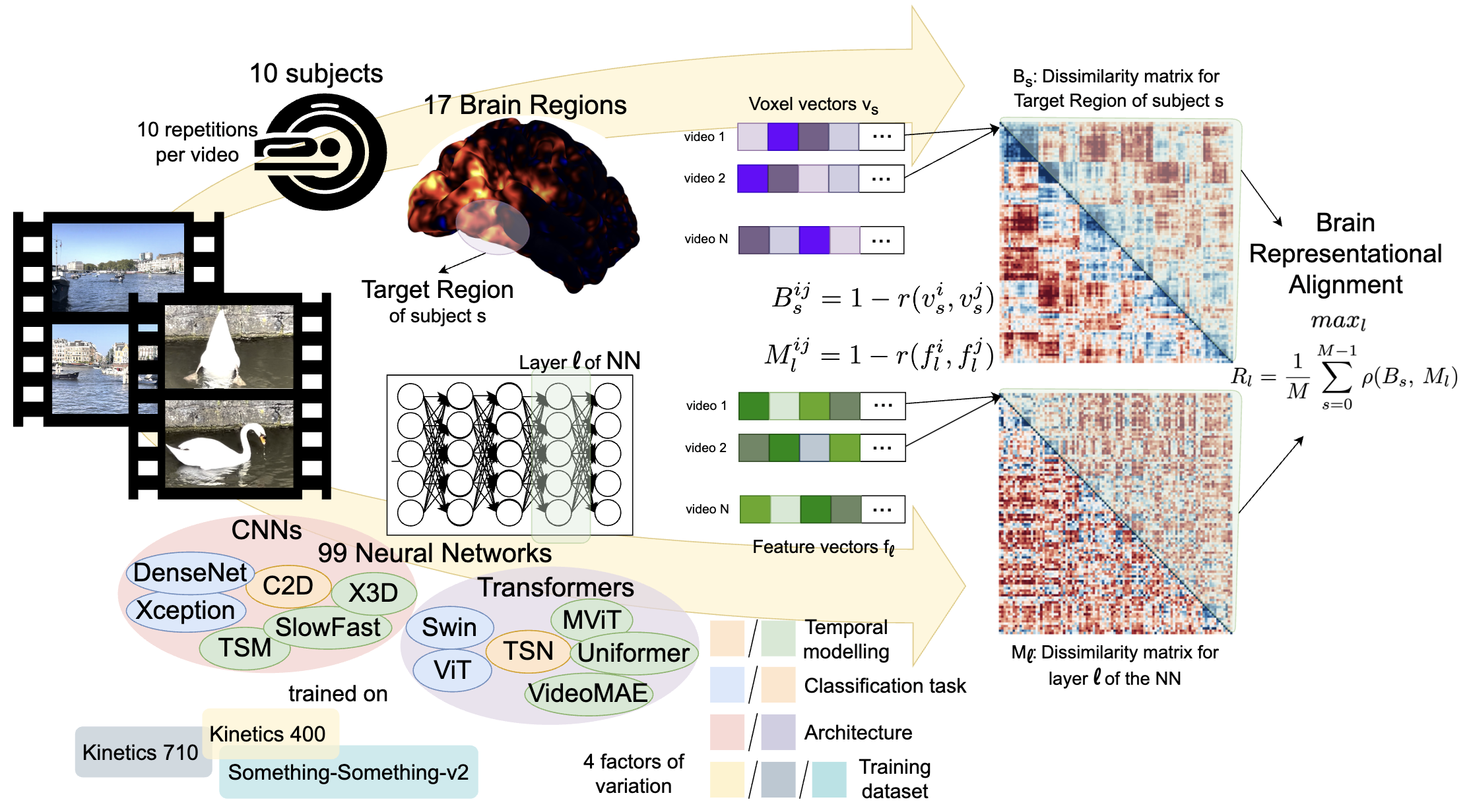 One Hundred Neural Networks and Brains Watching Videos: Lessons from ...