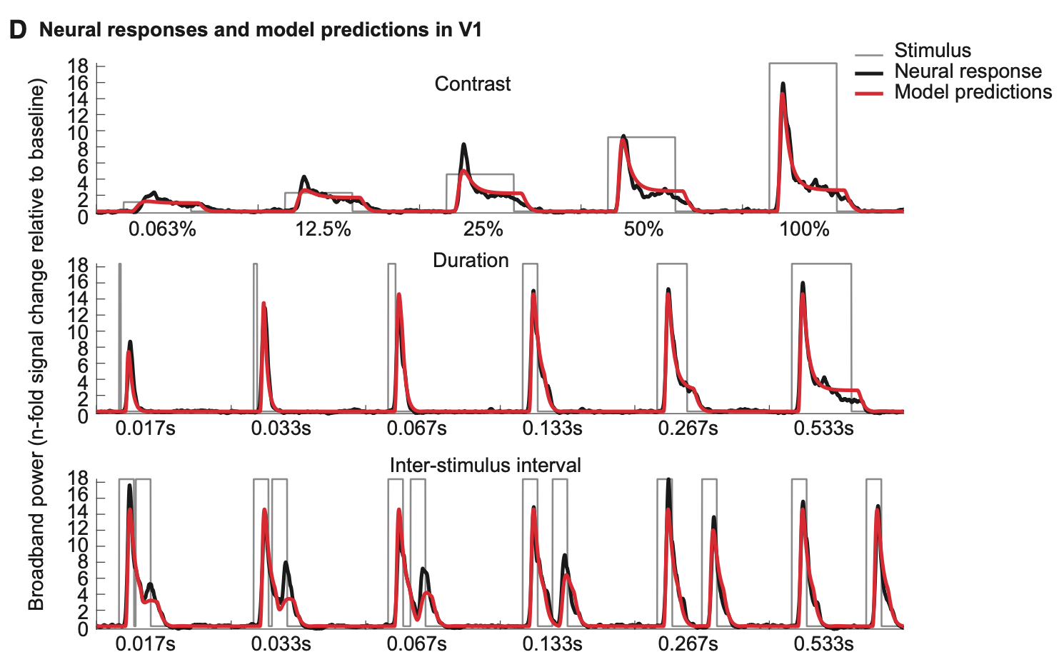 Modeling The Temporal Dynamics Of Neural Responses In Human Visual