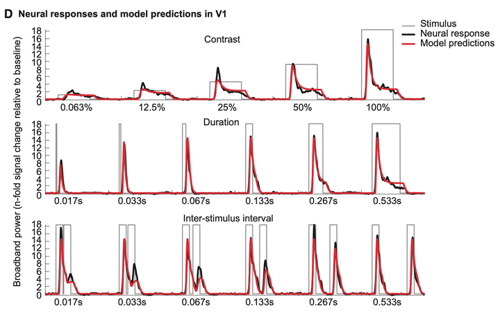 Modeling The Temporal Dynamics Of Neural Responses In Human Visual Cortex Vis Lab