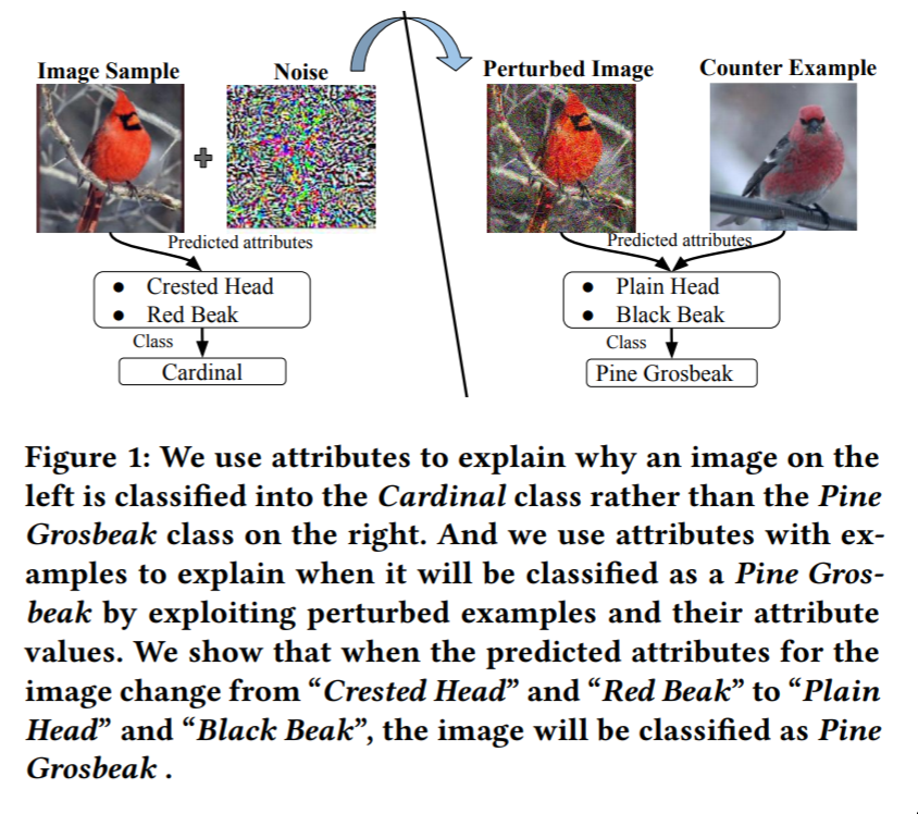 Explaining with Counter Visual Attributes and Examples | VIS Lab