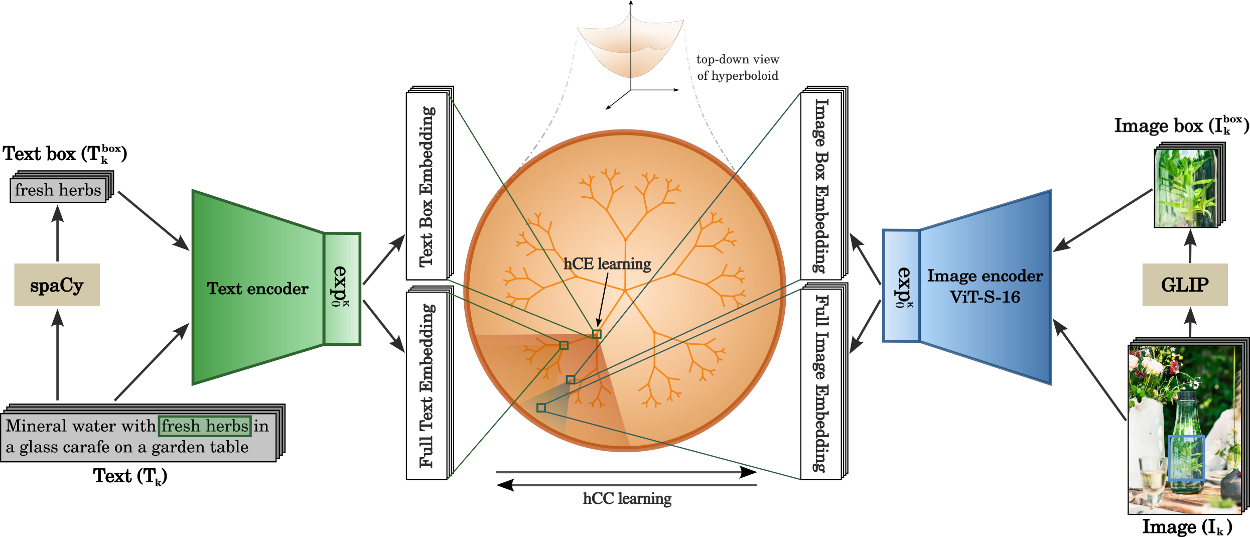 Compositional entailment learning for hyperbolic vision-language models ...