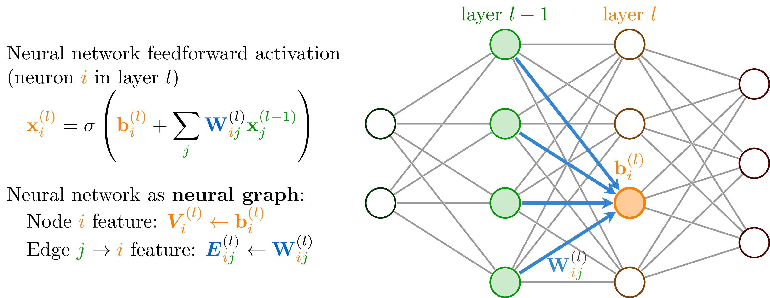 Graph Neural Networks for Learning Equivariant Representations of Neural Networks | VIS Lab