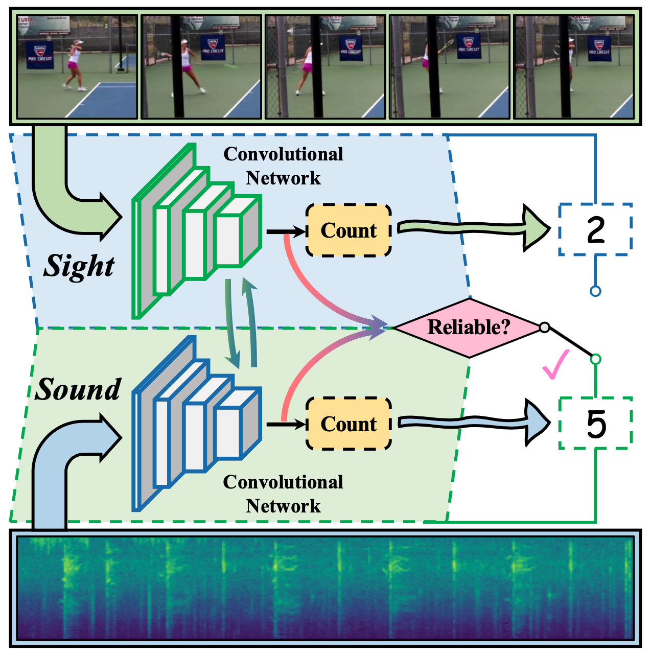 Repetitive Activity Counting by Sight and Sound | VIS Lab